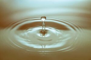 What Does Standing Water Mean? - Spindletop Plumbing